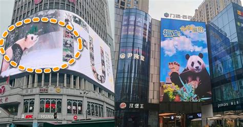 중국에서 얘를 어떻게 생각하냐면” 중국 전광판 점령한 푸바오 현지 팬이 전한 너무 감동적인 말 개감동이양