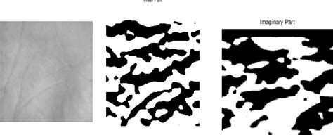 Figure 1 From A Secured Multimodal Biometrics System Using Palmprint