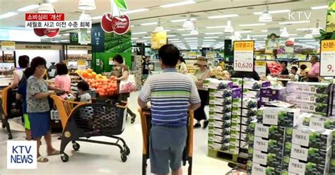 새 정부 경제정책 기대감소비자심리 개선