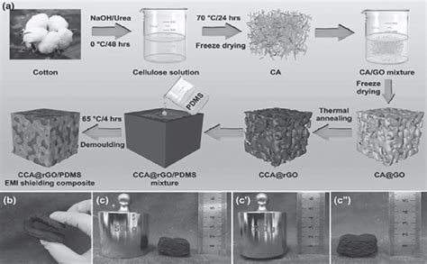 3 Schematic Illustration Of The Fabrication Procedure For Cca Rgo Pdms