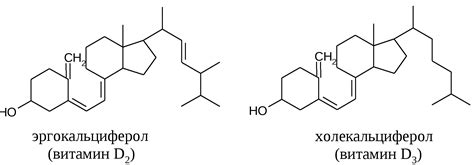 Отличия витамина D2 и D3