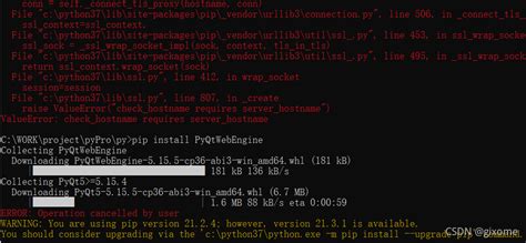 Pip的一个坑 Raise Valueerror“checkhostname Requires Serverhostname