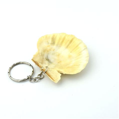 Natural Seashell Keychain Nautical Keychain Handmade Keychain Etsy Israel