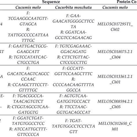 Primer Sequences Used In Rt Pcr For Amplifying Candidate Genes In C Download Scientific Diagram