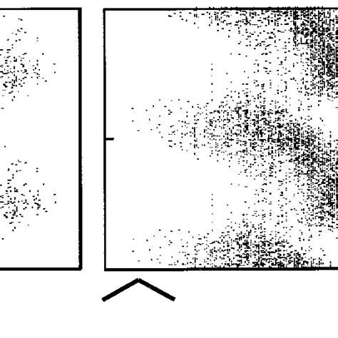 Examples Of The Relations Between The Theta Phase Of Spike Discharge