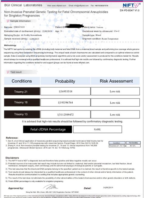 NIPT Test And Bonus Gender Reveal Mommy Sammy