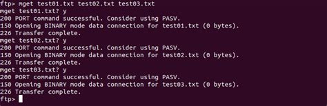 How To Use The Linux Ftp Command PhoenixNAP KB