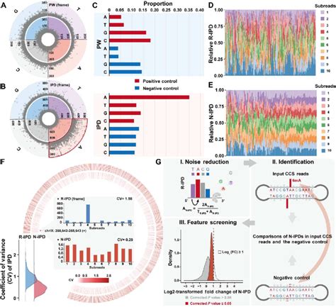 Identification Of 6ma Sites At Single Nucleotide Resolution A Raw Pw