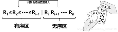 排序——插入排序（直接插入排序、希尔排序、折半插入排序） 排序算法直接插入排序和折半插入排序 csdn博客