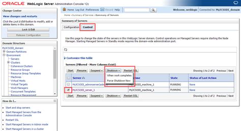 Provisioning Oracle Data Integrator On A Clustered Oracle Java Cloud