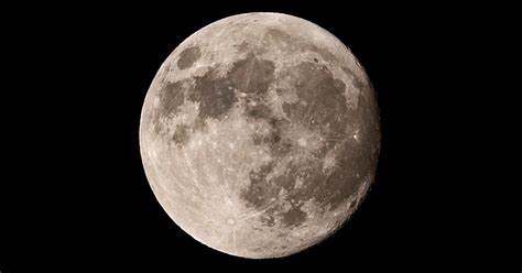 Are Men Really Biologically Wired To Want More No Strings Sex Are Men Really Biologically Wired To Want More No Strings Sex