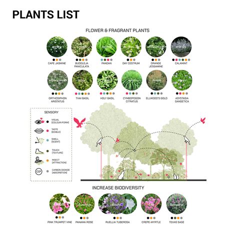 Landscape Architecture Diagram Artofit