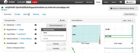 decommission and reconfigure data node disks cloudera community 248262