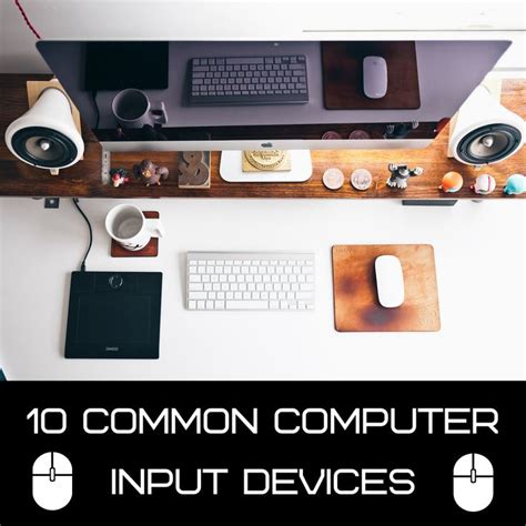 Computer Basics What Is An Input Device 10 Examples Computer Basics Input Devices Computer