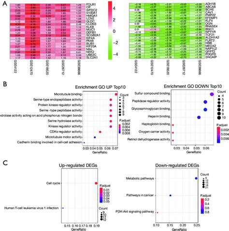 Identification Of Degs And Functional Enrichment Analysis Of The Degs