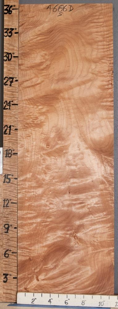 5a Curly Maple Nwt 4686d