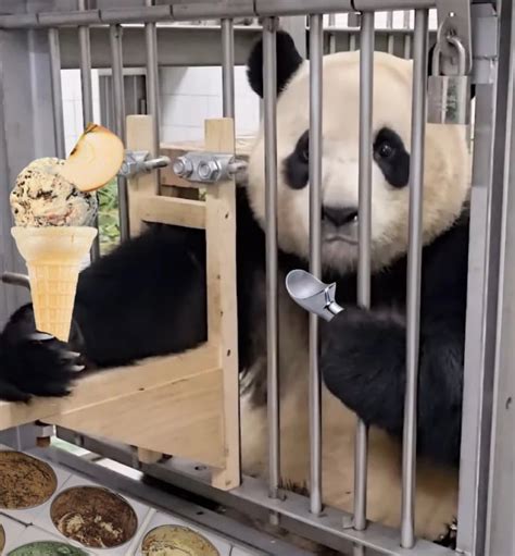 더쿠 띵동~ 배달의 민족 주문~