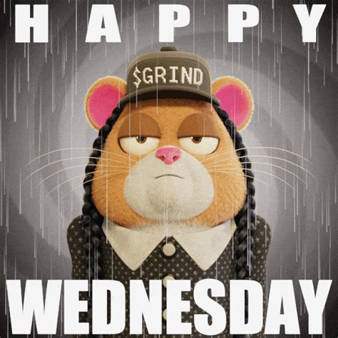 Wednesdayfunny S Find And Share On Giphy