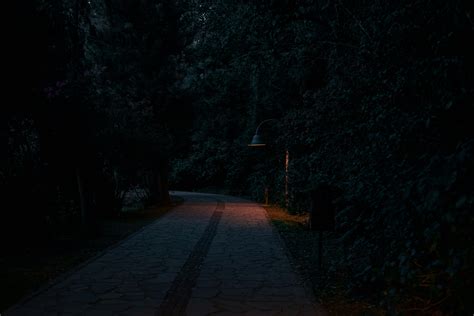 가로등 가벼운 고독 고요한 그림자 길 나무 녹지 도시 공원 도시 성격 도시 숲 도시의 램프 램프 표시 등 미스터리 밤 보도 부드러운 빛