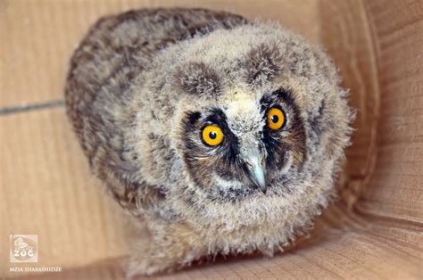 20 May 2014 თბილისის ზოოპარკი