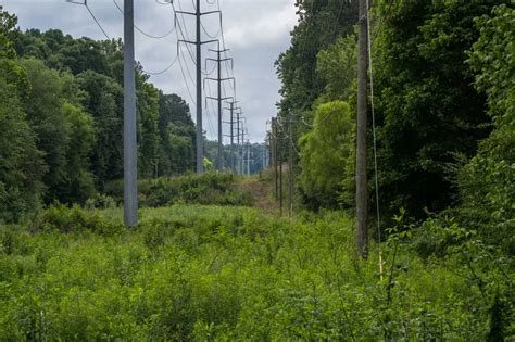 Improving Overhead Fault Detection Sentient Energy