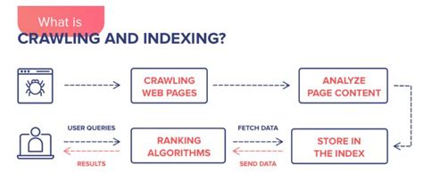 Muhammad Hamza Ali On Linkedin How Does Website Indexing Affect Seo