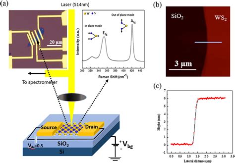 Gate Dependent Phonon Shift In Tungsten Disulfide Ws2 Field Effect Transistor Iopscience