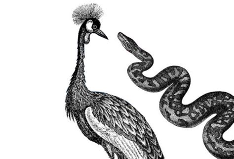 无需安装python，就可以在net里调用python库 Csdn博客