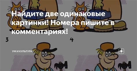 Найдите две одинаковые картинки Номера пишите в комментариях Ум и культура Дзен