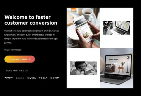 Customer Conversion Css Template By Nicepage