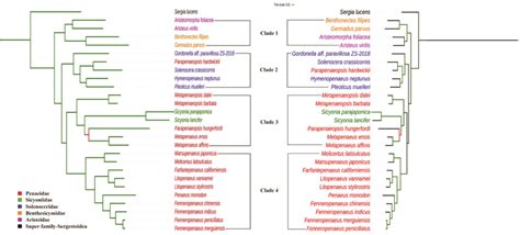 Phylogenetic Trees Protein Coding Genes Derived By Bayesian Method Download Scientific Diagram