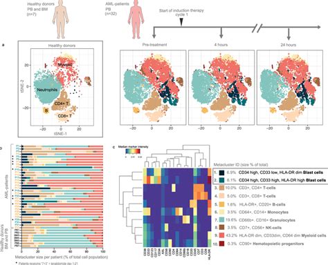 Characterization Of Immunophenotype In 32 Aml Patients By Flowsom A Download Scientific Diagram