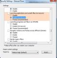 Your Internet Security Settings Prevented One Or More Files