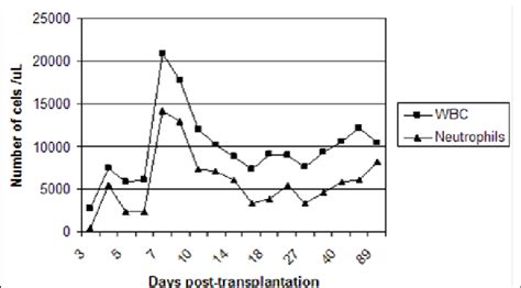 Global Counting Of Leukocytes And Segmented Neutrophils After