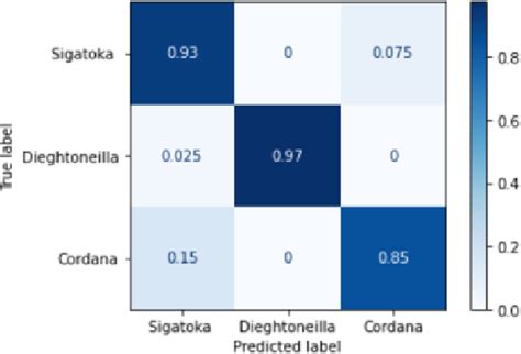 Figure 1 From Classification Of Leaf Spot Diseases In Banana Using Pre