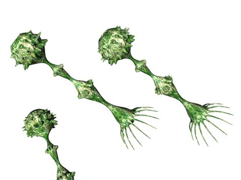 Bizarre Pathogen With Many Continuations Process Contagion Pattern