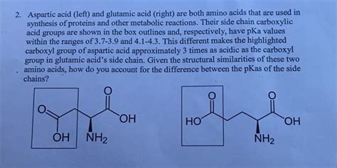 Solved 2. Aspartic acid (left) and glutamic acid (right) are | Chegg.com