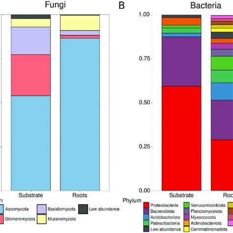 Biofertilizer S Overall Diversity In Substrates And Plant Root