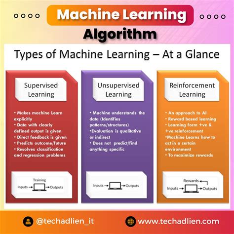 Programming Coding Programmer Python Developer Javascript