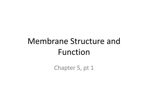 PPT Membrane Structure And Function PowerPoint Presentation Free Download ID 3066705