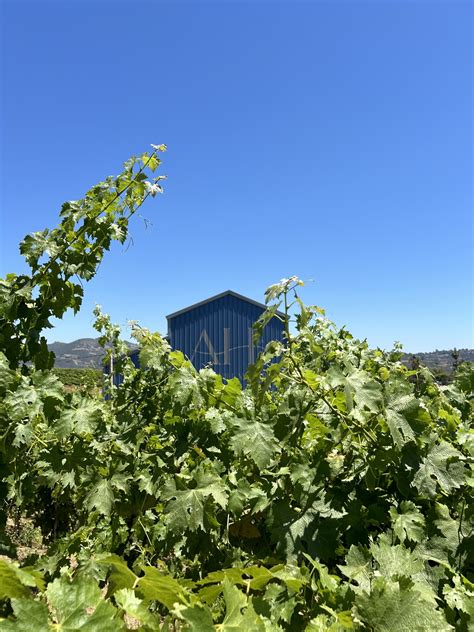 Visit Adobe Hill Winery