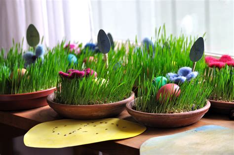 Uses For Easter Grass At Troy Musselman Blog