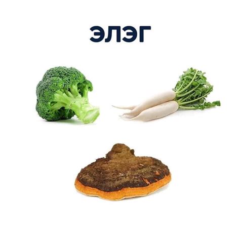 Хүний биед хамгийн хэрэ Fohow эмэгтэйчүүдийн сувдан үрэл Facebook