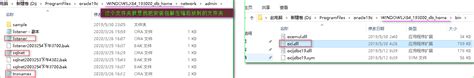 oracle windows下安装oracle19c 东方飘雪 博客园