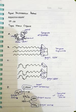 Solved A Sample Of An Infusion Was Diluted 5 Ml To 200 Ml And Then 10 Ml Kimia 210351168
