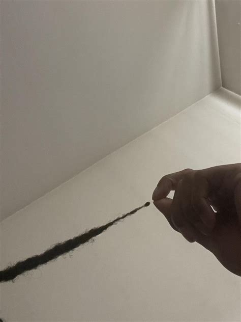 Why Do My Dreads Do This Rdreadlocks