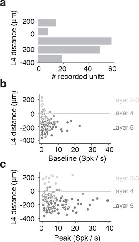 Figures And Data In Neural Coding In Barrel Cortex During Whisker