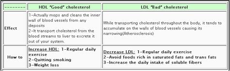 Cholesterol Hdl Ldl Ratio Heart Disease Risk