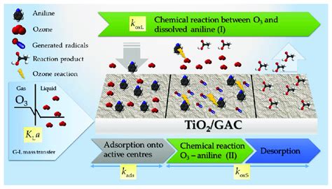 A Three Phase Modelling For Tio2 Gac Catalytic Ozonation Of