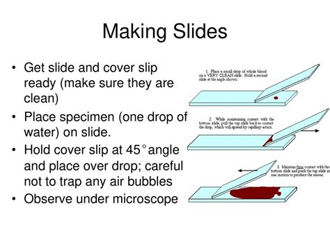Microscopes Always Use 2 Hands To Carry One On The Arm And One On The Base Plug In Turn Light